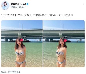 愛森ちえ(elsy)、溢れんばかりのふっくら美バストえちえちボディ披露！ | WWSチャンネル